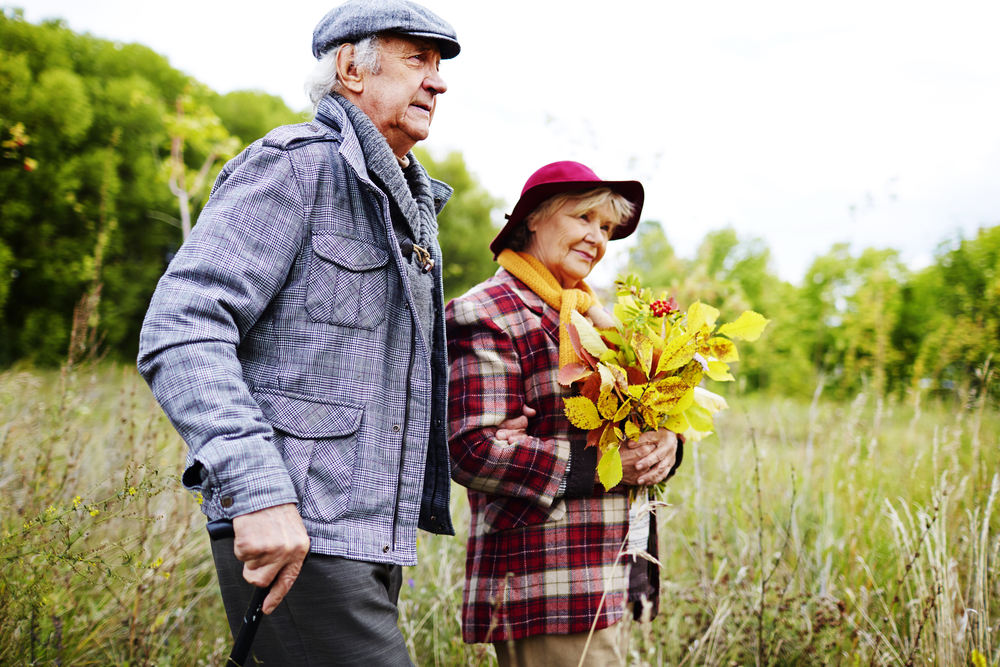 An introduction to mindful movement for seniors | The Physio Co