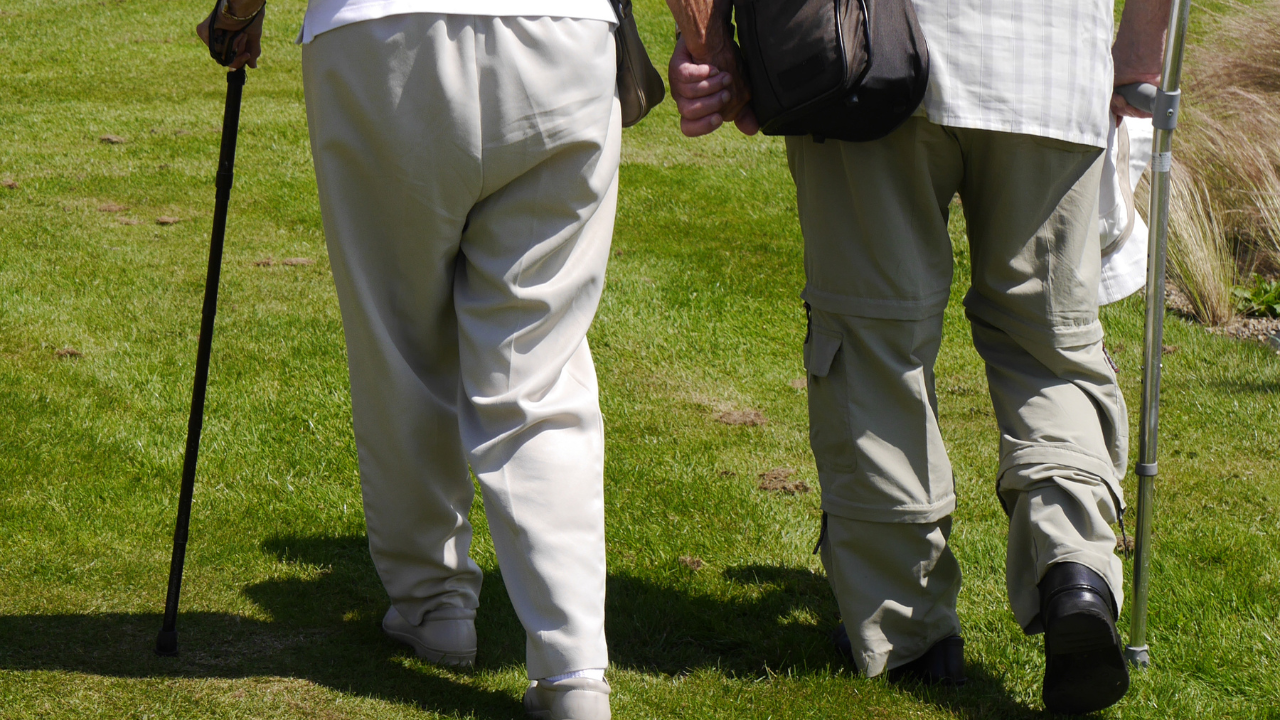 Healthy and happy is the perfect equation for The Physio Co's senior ...